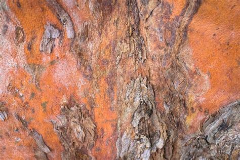 Structuralengineering Impact Gfrp Polypropylene Polymers Dr