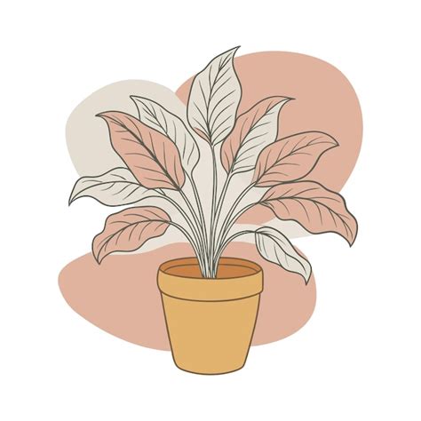 Home Office Potted Plant Vector Illustration Premium Ai Generated Vector