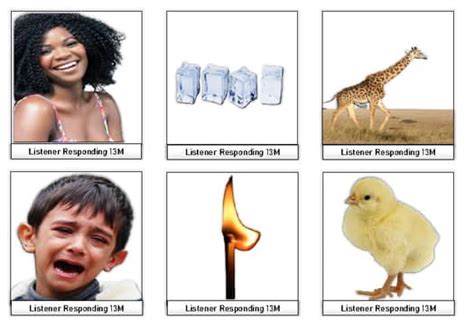 Printable Vb Mapp Lr 13m Selects Items From And Array Of Similar Stimuli
