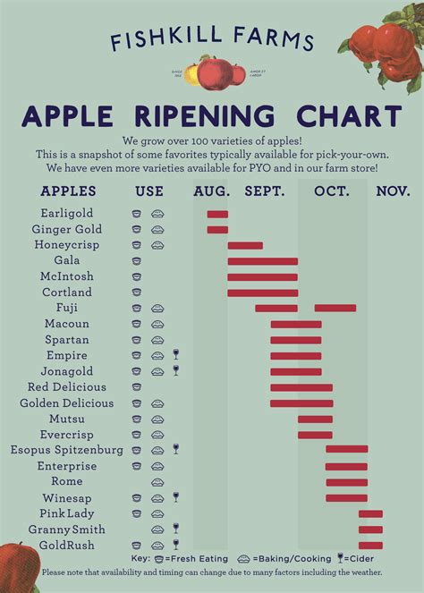 Mcintosh Apple Ripening Guide At Frank Keith Blog