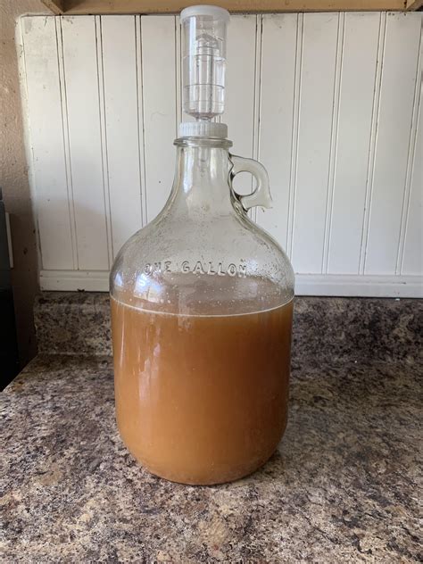 What Is Secondary Fermentation Mead At Claire Fahey Blog