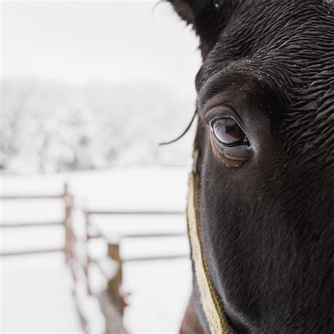 Hilary Schultz His Face When I Show Him My Plans For Facebook
