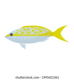 Yellowtail Snapper Drawing Vector Illustration Stock Vector Royalty