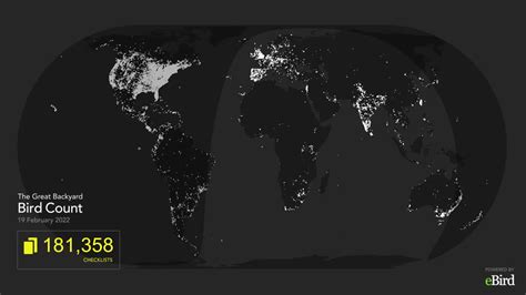 Suhel Quader On Linkedin Each Speck Of Light Is A Birdwatcher Uploading A Checklist During One…