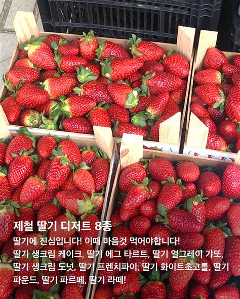 투하츠 베이커리 카페 제철 딸기에 진심입니다🍓🍰 ️ 그래서 딸기를 듬뿍듬뿍 넣은 메뉴들로 구성해보았습니다👍 딸기 얼그레이