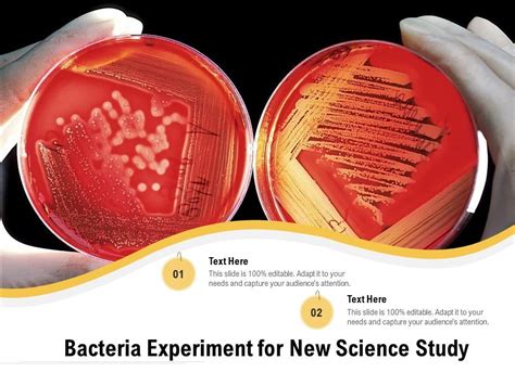 Bacteria Experiment For New Science Study Ppt Powerpoint Presentation