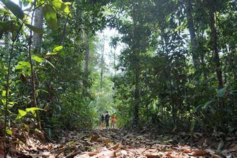 What Have We Learned From 15 Years Of Redd Policy Research Analysis