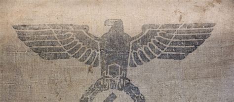 Afd Jugend Provoziert Mit Logo „ein Bisschen Ns Ästhetik Rundschau