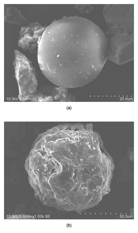 Surface Microstructure Of Lignin And Aptes Functionalized Lignin
