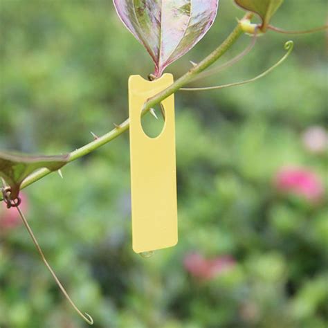350pcs Fruit Plant Label Garden Flower Tree Name T Vicedeal