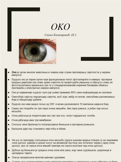 Oko Pdf