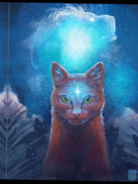 коти вояки 💖 Youtube