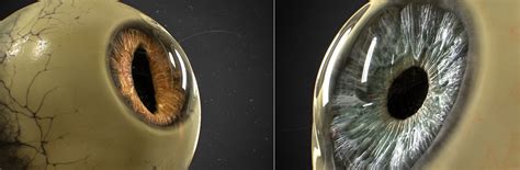 Cat Eye Texture Map