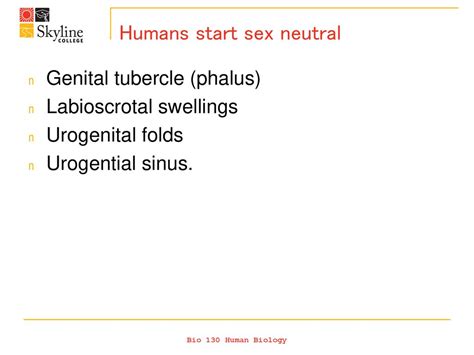 How Do We Duplicate And How Do We Get Here Where Are We Going Ppt
