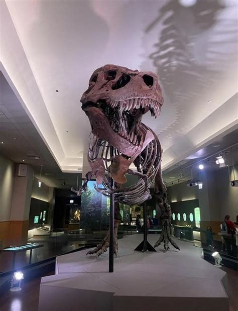 Dinosaur Museum Reno Unearthing Prehistoric Wonders In The Biggest