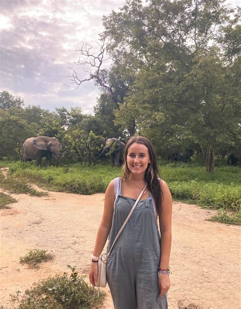 Astater Spring 2023 Annual Donor Report By Adams State University Issuu