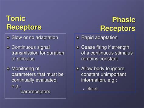 Ppt Sensory Overview Powerpoint Presentation Free Download Id3120120
