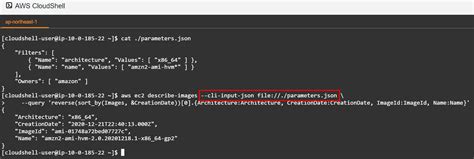 ヒアドキュメントを使ってaws Cliの Cli Input パラメーターを便利に使う Developersio