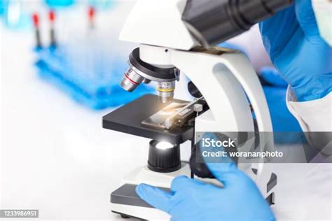 파란 고무 장갑을 착용한 남자의 손은 실험실에서 일하기 위하여 현미경을 이용하고 있습니다 Stem 주제에 대한 스톡 사진 및 기타 이미지 Stem 주제 건강 진단