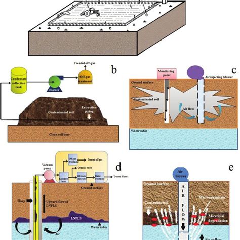 Types Of Ecotoxicity Tests Download Scientific Diagram