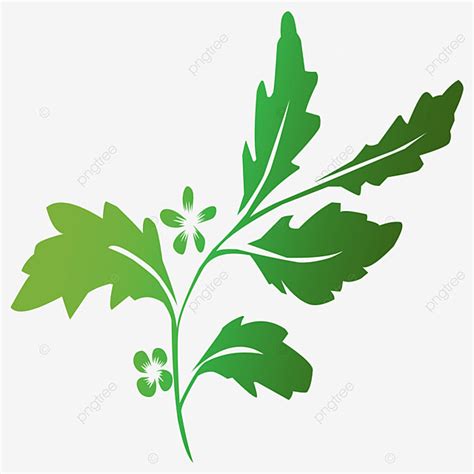 Mustard Leaves Vector At Dennis Marquis Blog