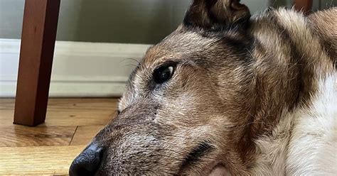 Good Girl Is Slowing Down Album On Imgur