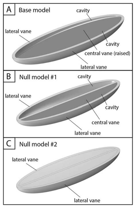 The Life And Times Of Pteridinium Simplex