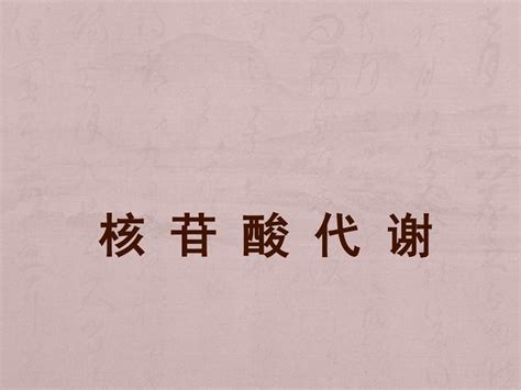 核苷酸代谢ppt医学课件word文档在线阅读与下载无忧文档