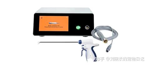 宠物绝育大揭秘：大血管闭合系统vs超声刀 知乎
