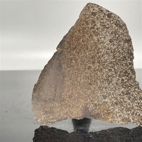 Super Xxl Carbonaceous Chondrite New Classification Nwa Catawiki