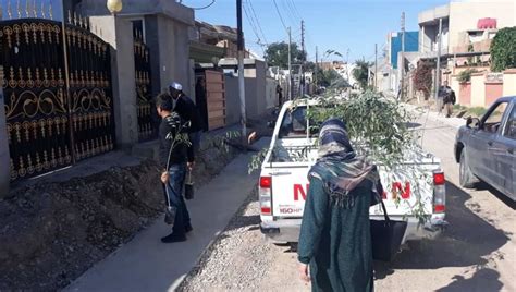 نەمام بەسەر ماڵاندا دابەش دەکرێت