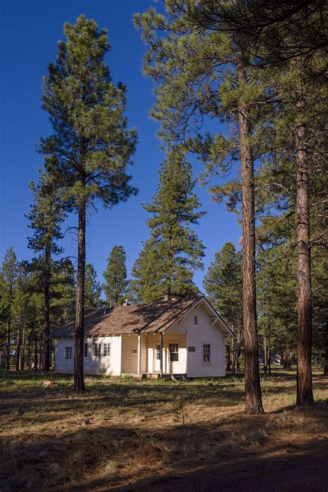 Fort Valley Experimental Forest Arizona Highways
