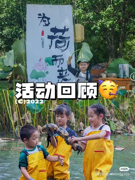 亲子研学户外研学