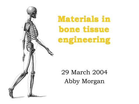 Ppt Materials In Bone Tissue Engineering Powerpoint Presentation