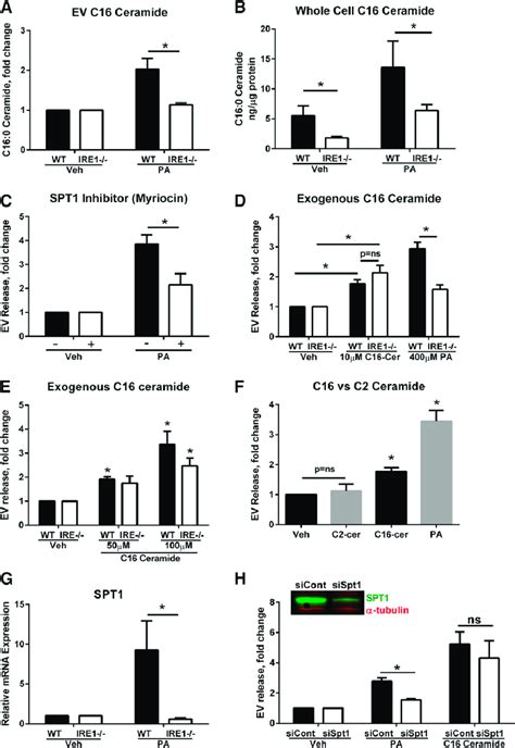 C16 Ceramide Synthesis Is Necessary For Ire1 Dependent Pa Induced Ev