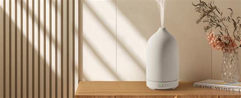 Diffuserlove Ceramic Diffuser 160ml Essential Oil Diffusers Aromatherapy Essential Oil Diffuser