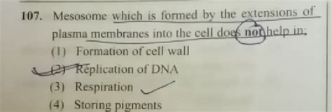 107 Mesosome Which Is Formed By The Extensions Of Plasma Membranes Into
