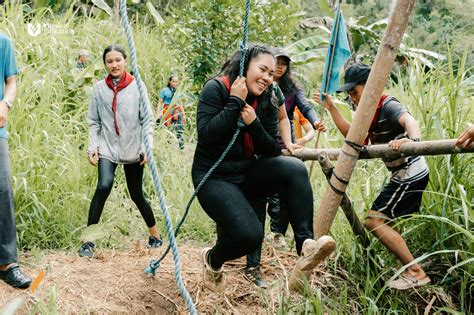 Mvc School Of Education