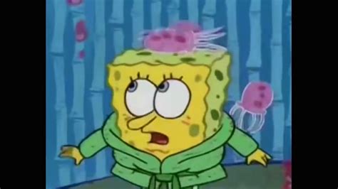 Jellyfish Jam Meme Perindo Vs Okeoce Youtube