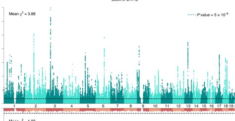 Cremation Certificate In Nsw Requirements And Process Explained ⇢