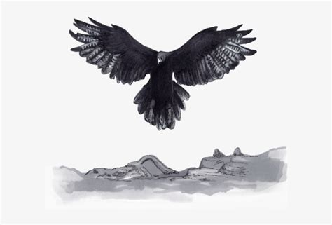 the portfolio has a well structured allocation to all eagle 600x600