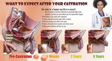 Make A Step And Wait For The Process Estradiolclinic On Tumblr