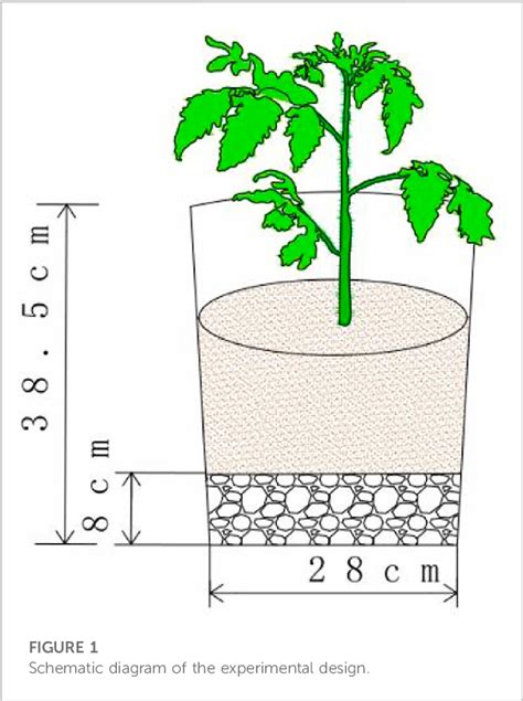 Table 1 From Effects Of Biochar And Vermicompost On Microorganisms And