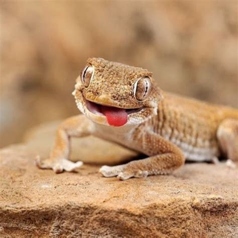 Agikgqpqfxacw7bjywse2baweozhsbdvmxht6knqmald3qs900 C K C0x00ffffff No Rj