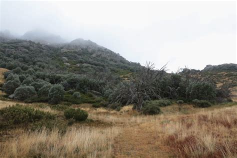 The Environment Is Deteriorating Soe Australian Democrats