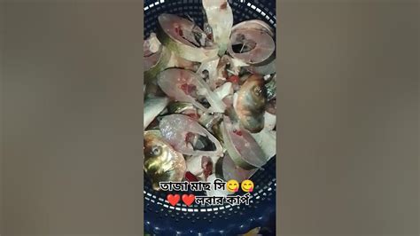 Fish Bige Sijer😋😋 ️ ️ Youtube
