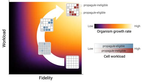 Benjamin Kerr On Twitter What Prevents Multicellular Organisms From