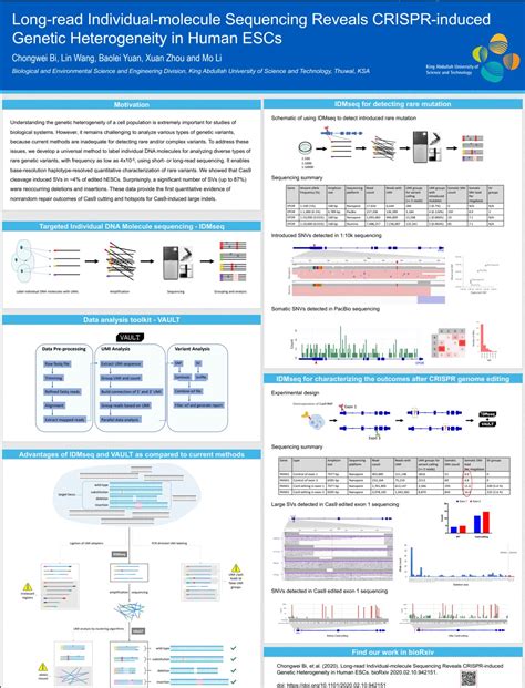 Long Read Individual Molecule Sequencing Reveals Crispr Induced Genetic