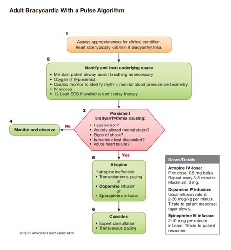Application Of The Bradycardia Algorithm