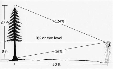 2 3 Using Percent Slope To Determine Tree Height Forest Measurements An Applied Approach